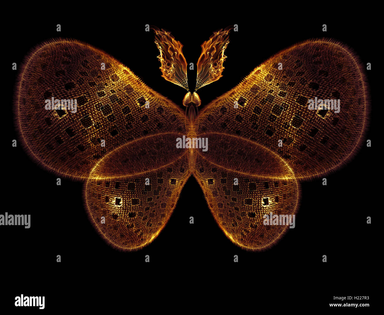 Magic of Butterfly Stock Photo - Alamy