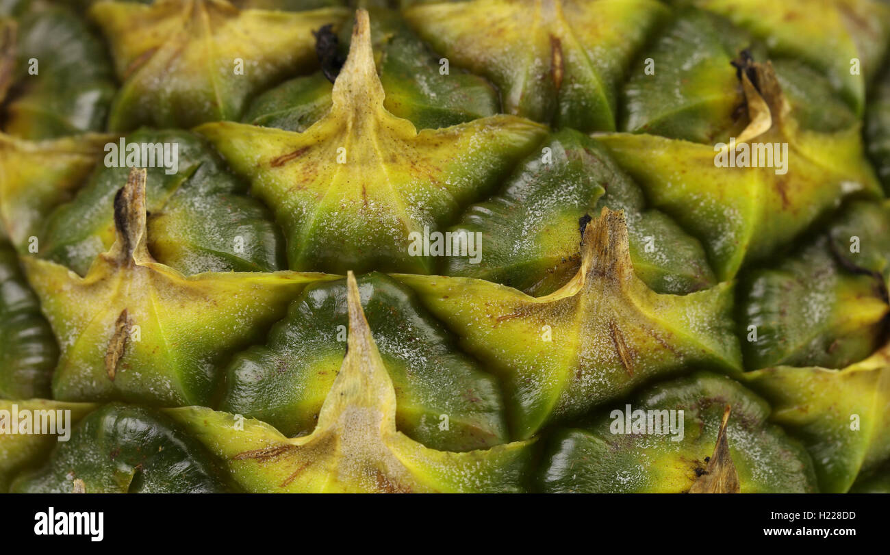 Close up texture of fresh ripe pineapple Stock Photo - Alamy