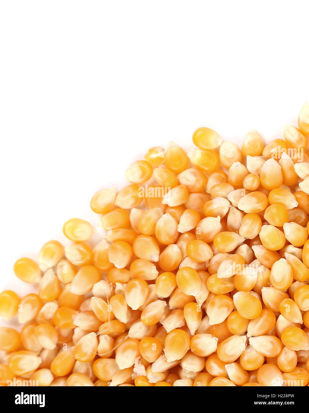 Closeup of corn grains Stock Photo - Alamy