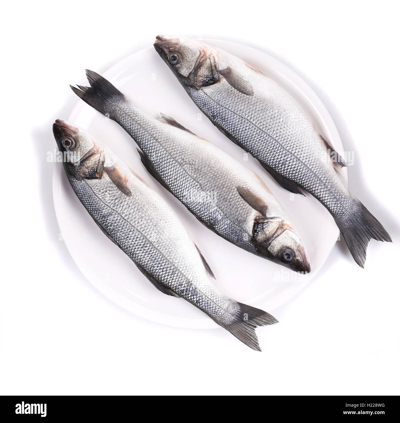 Three fresh seabass fish on plate Stock Photo - Alamy