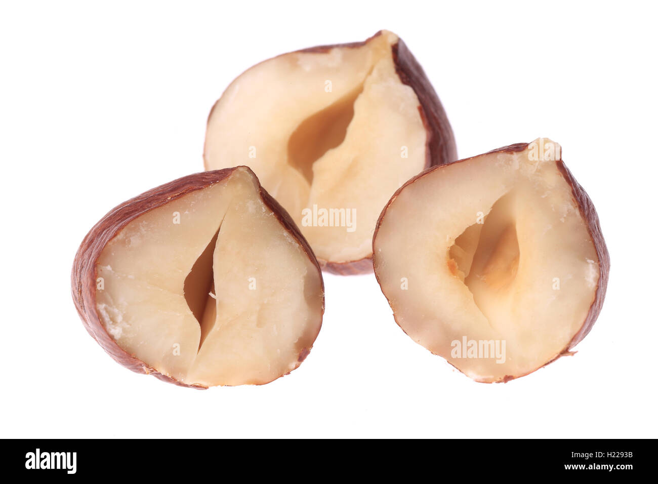 Close up of filbert Stock Photo - Alamy