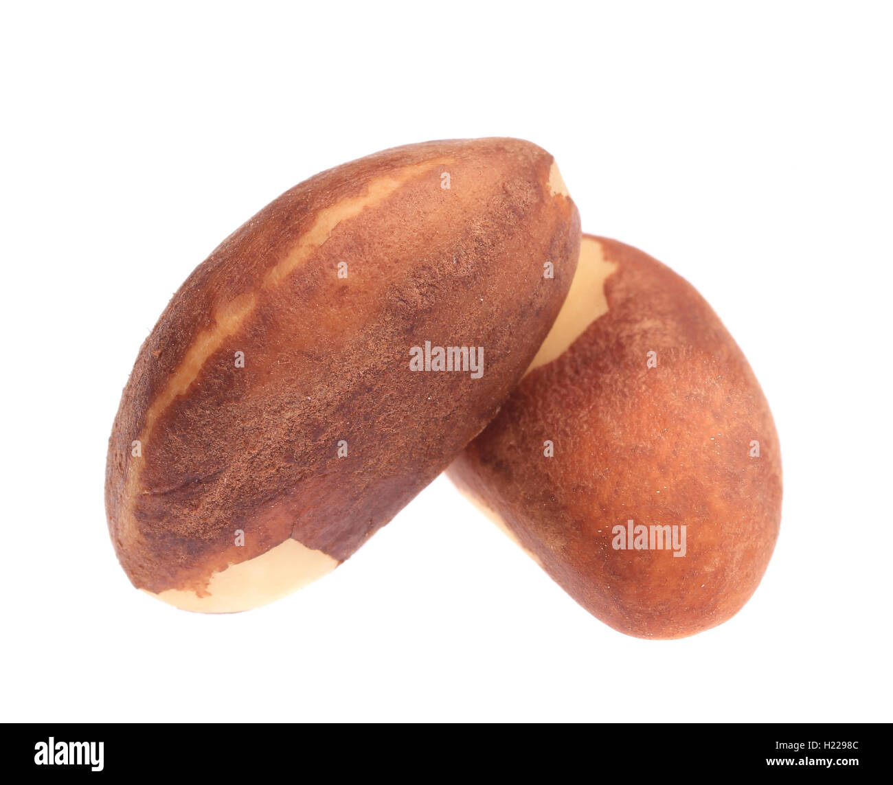 Fresh raw abalone close hi-res stock photography and images - Alamy