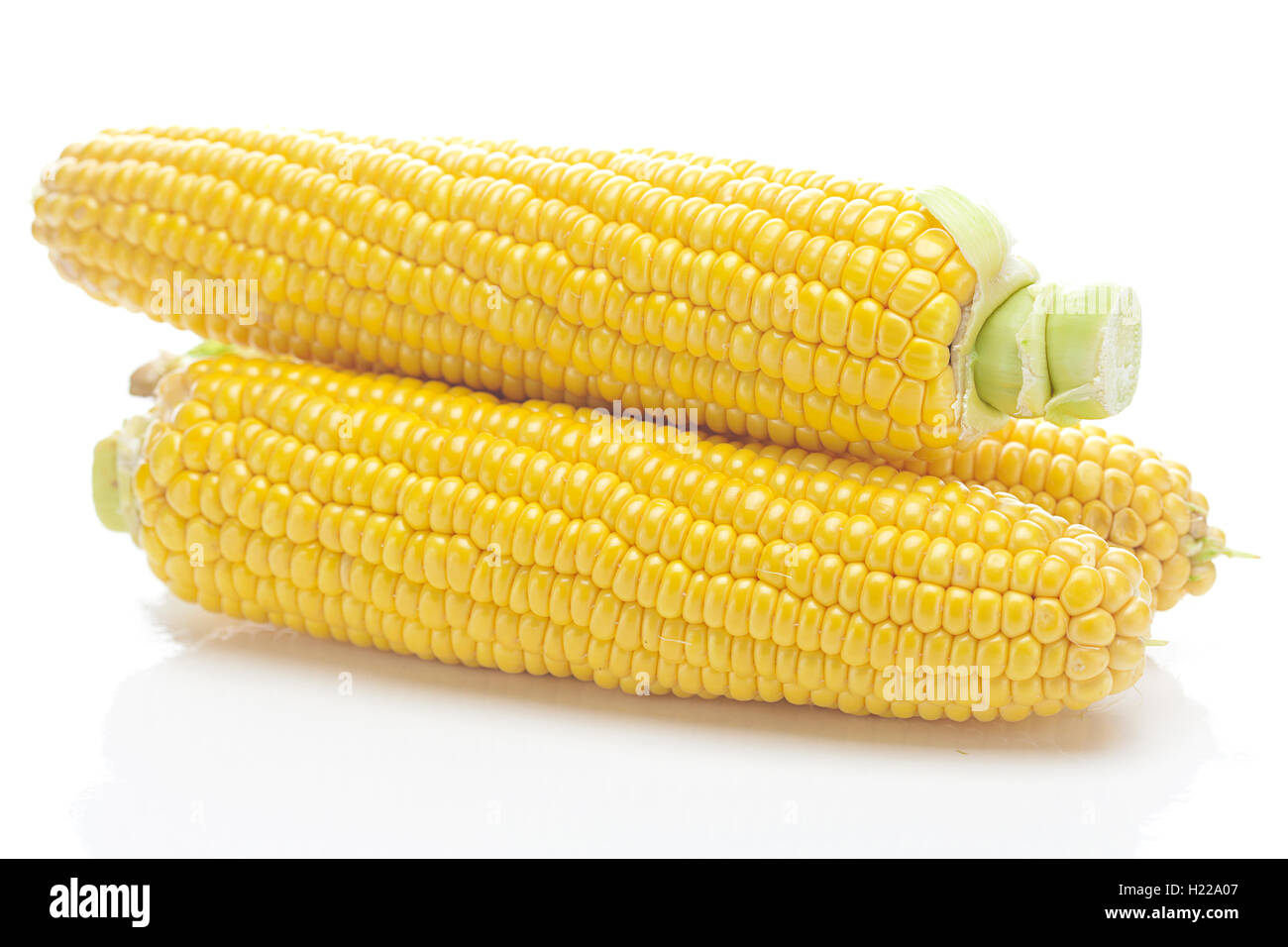 ripe yellow corn isolated on white Stock Photo - Alamy