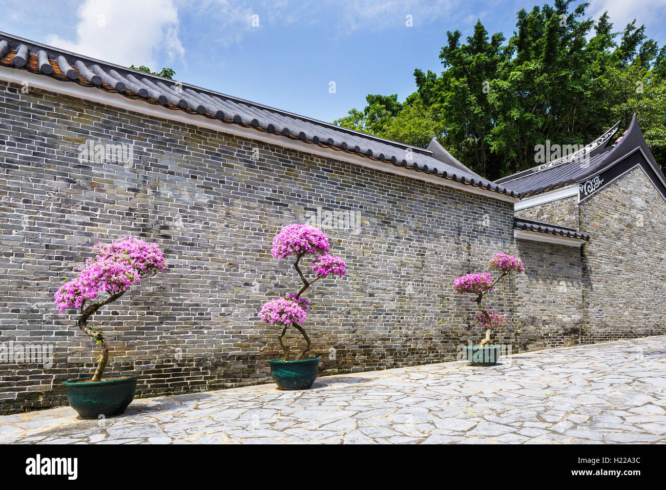 Traditional chinese garden Stock Photo - Alamy