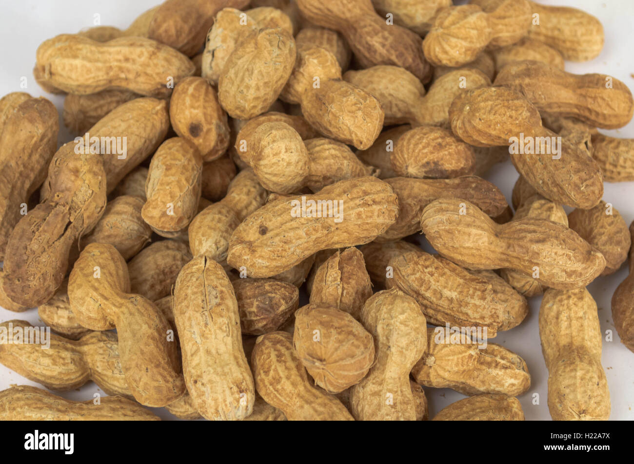 Peanuts in shells Stock Photo - Alamy