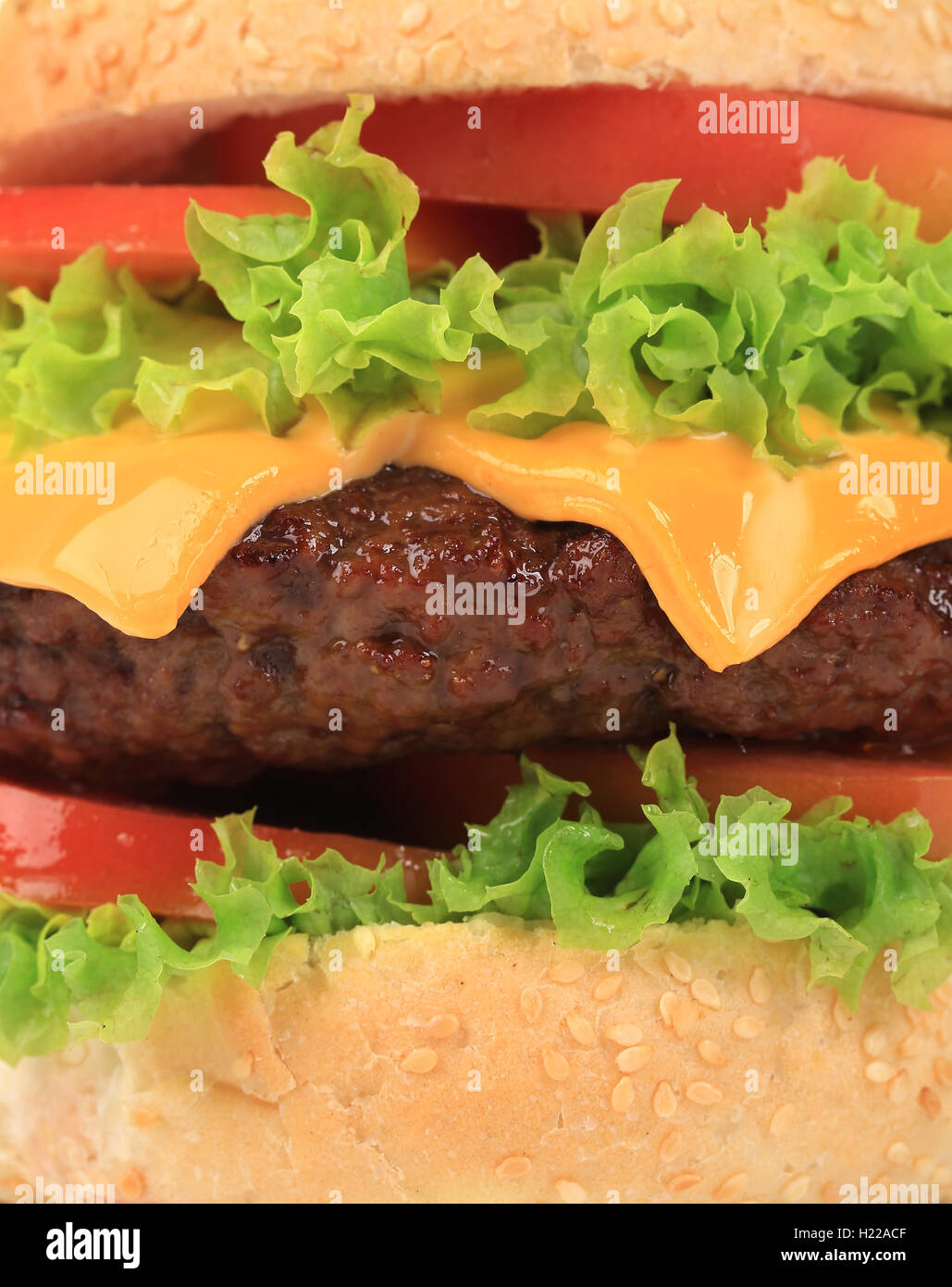 Close up of hamburger layers Stock Photo - Alamy