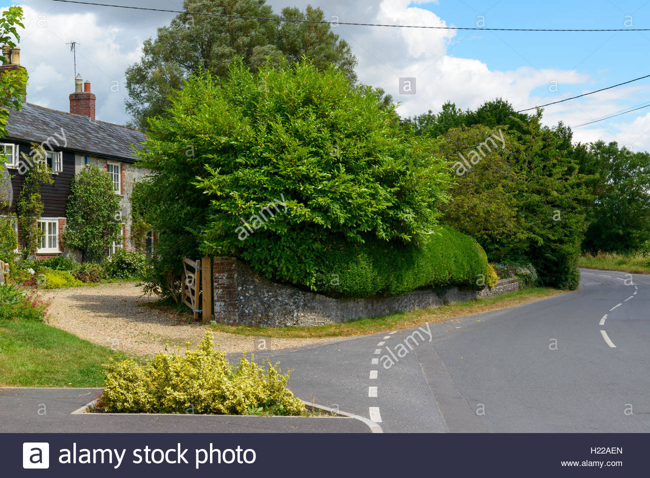 Broad Chalke High Resolution Stock Photography and Images - Alamy