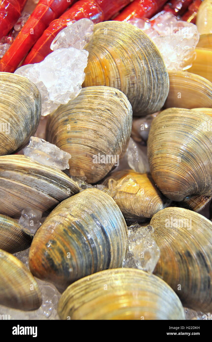 Variety fresh sushi beautifully hi-res stock photography and images - Alamy