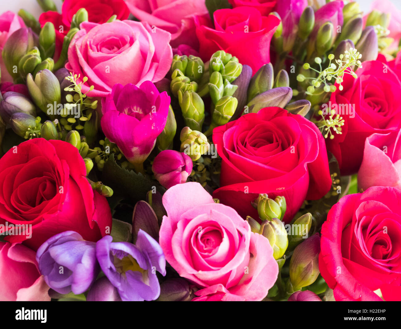 Shot from above hi-res stock photography and images - Alamy