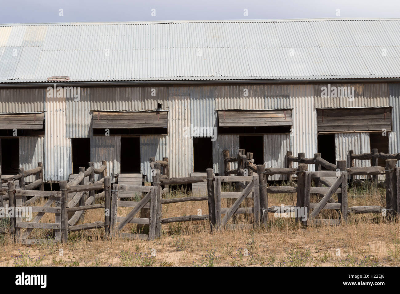 Historic Kinchega Woolshed Kinchega National Park Outback New South ...