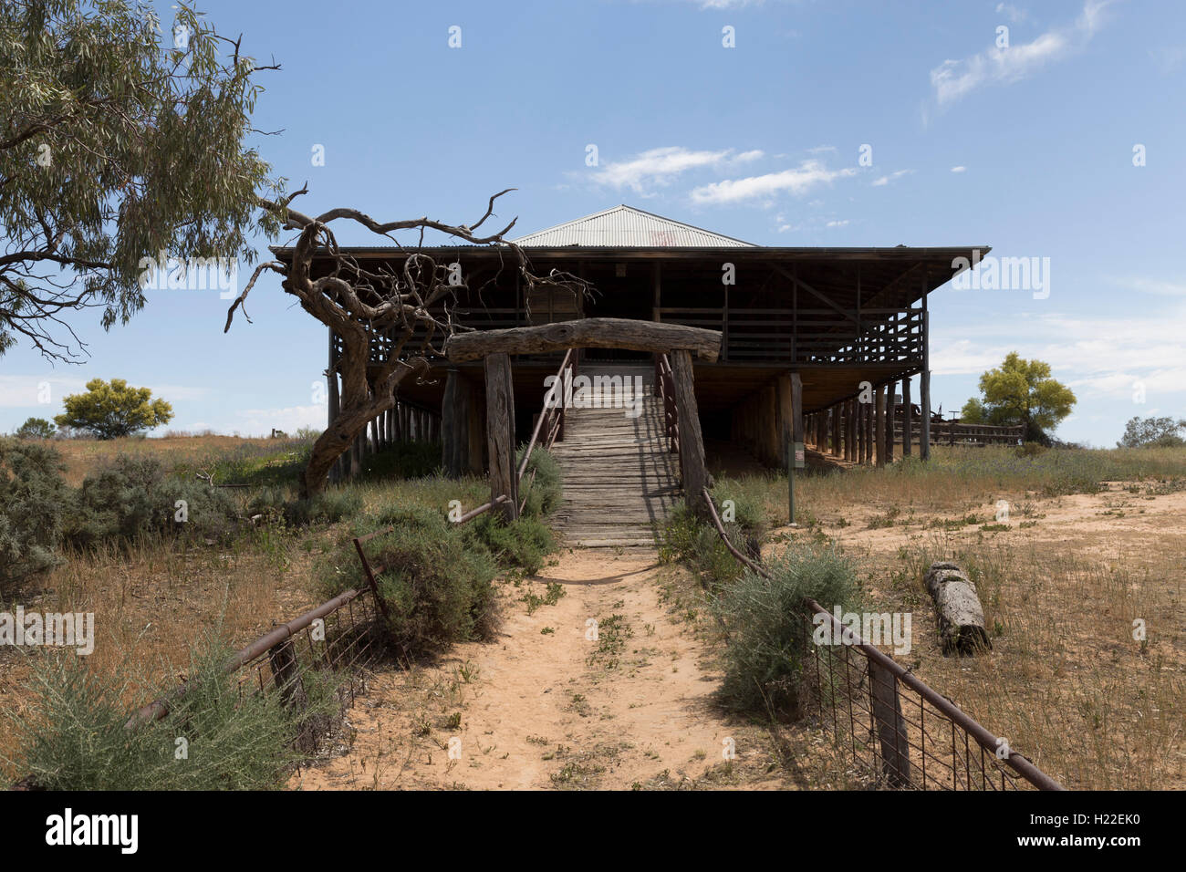 Historic Kinchega Woolshed Kinchega National Park Outback New South ...