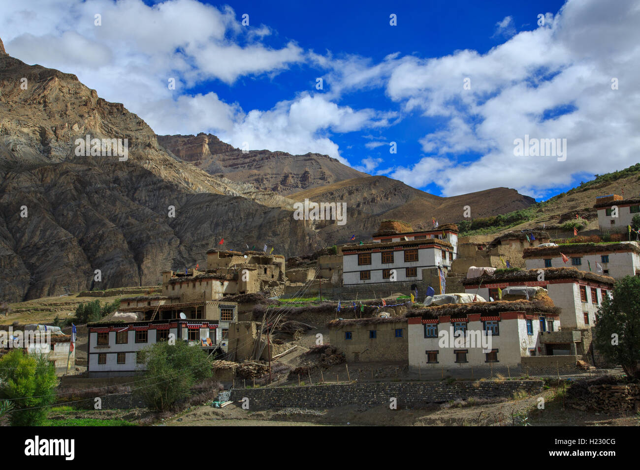 A village in Spiti Valley Stock Photo - Alamy