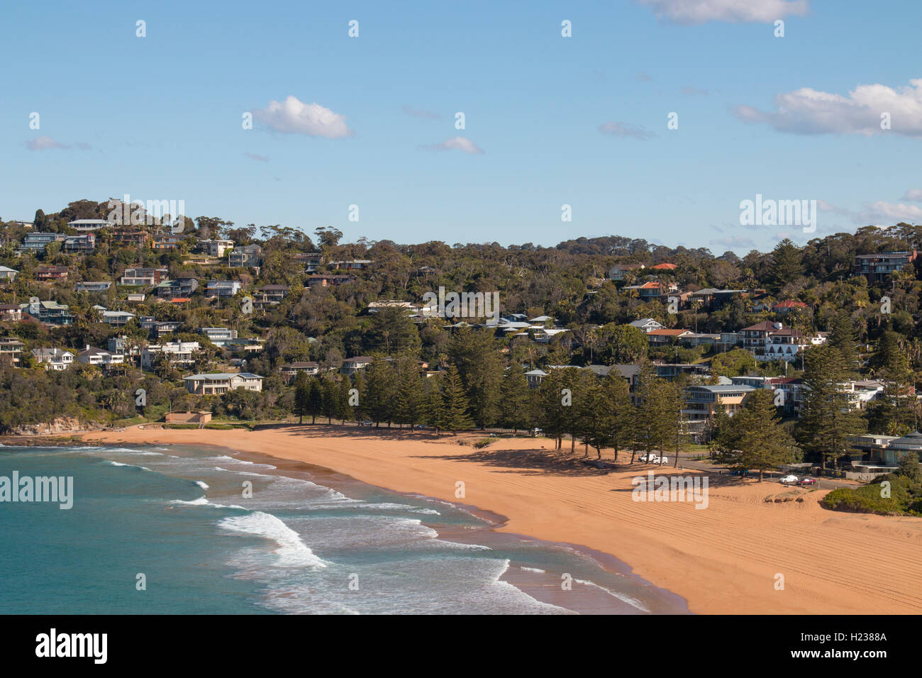 Whale Beach on Sydney northern beaches,new south wales,australia Stock ...