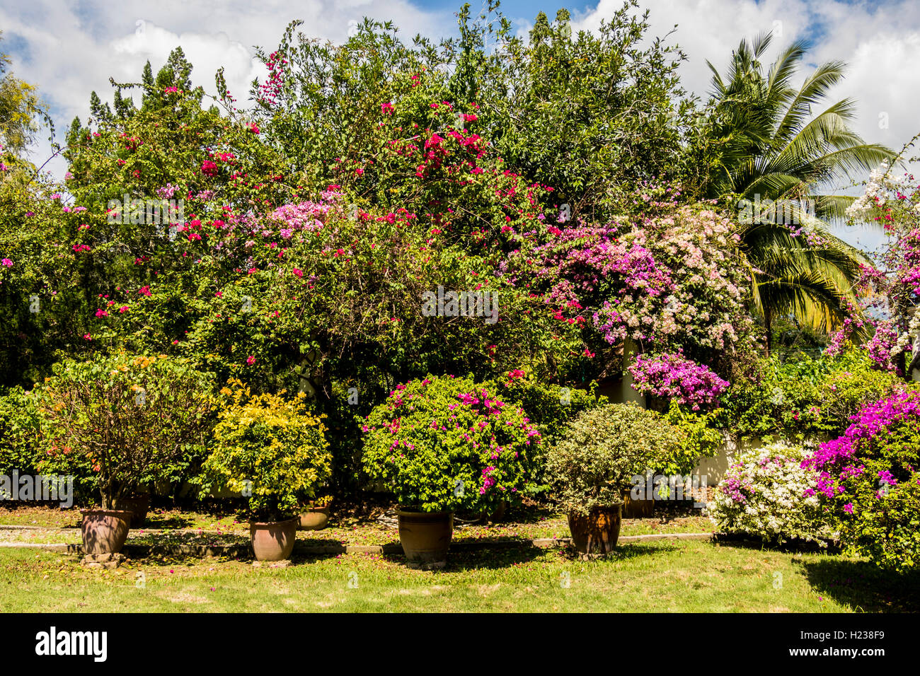 Sabah agricultural park Tenom dedicated to plant conservation and flora ...