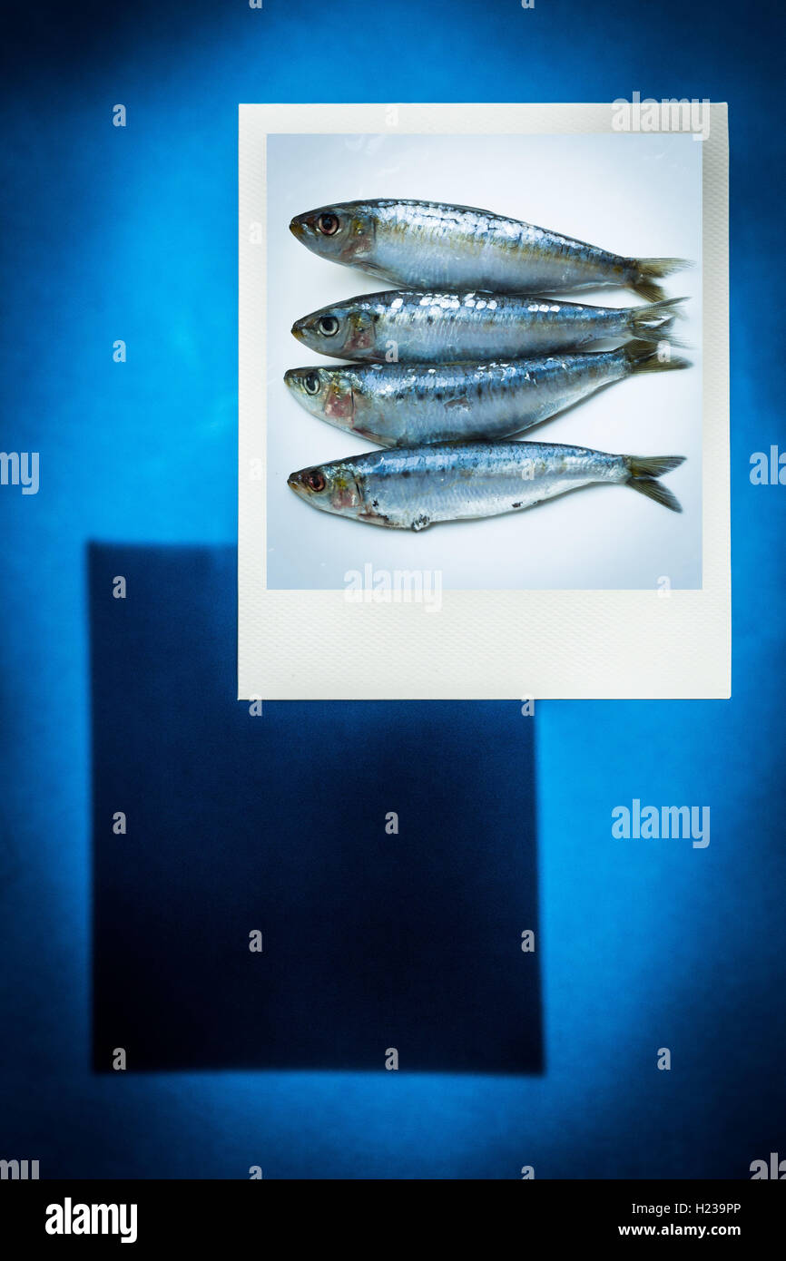 Still life fish hi-res stock photography and images - Alamy