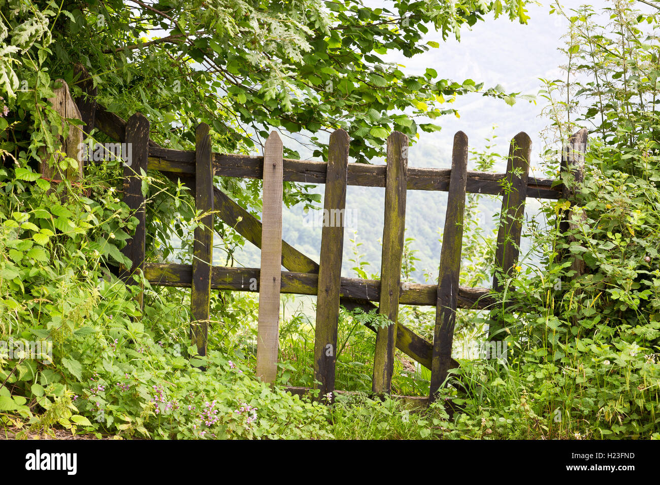 Pedestrian access doors for fencing. Wooden fences in Asturias Spain ...