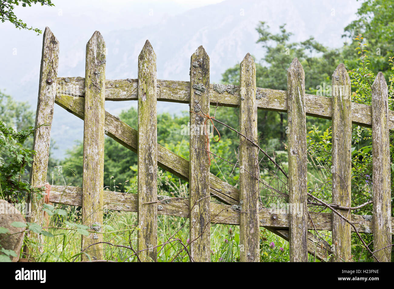 Pedestrian access doors for fencing. Wooden fences in Asturias Spain ...