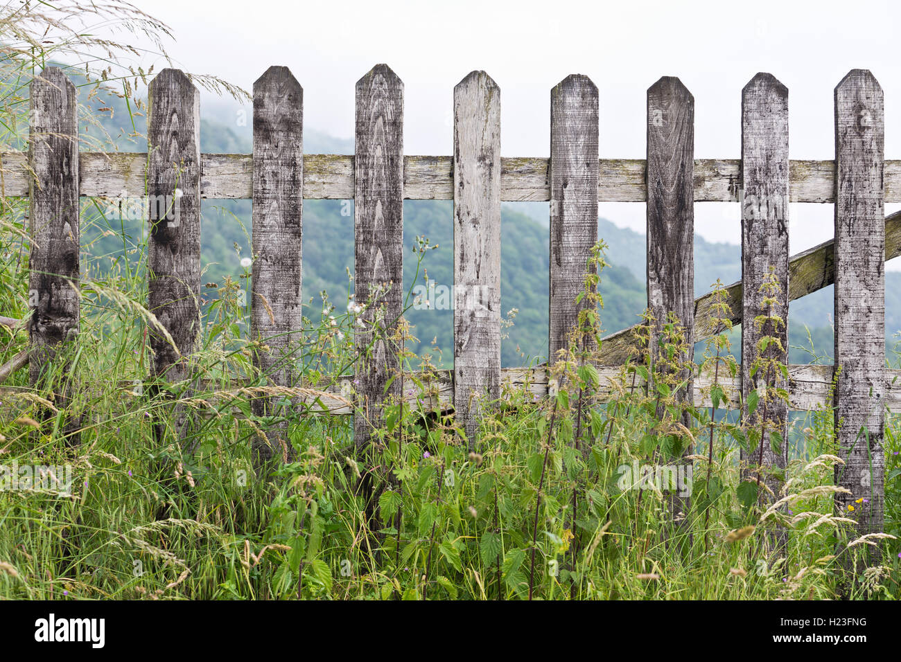 Pedestrian access doors for fencing. Wooden fences in Asturias Spain ...