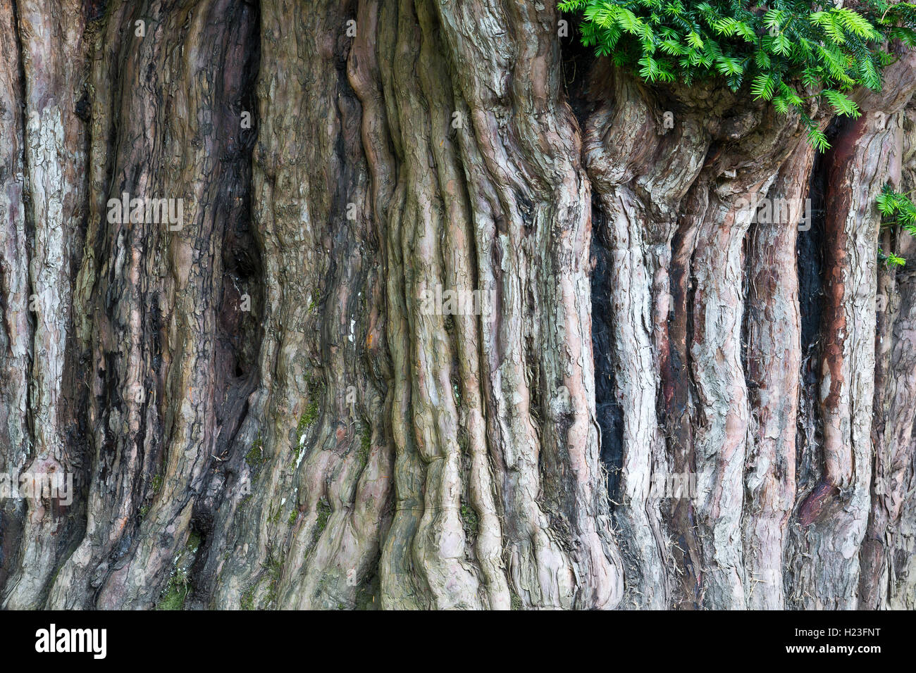 Asturian landscapes hi-res stock photography and images - Alamy