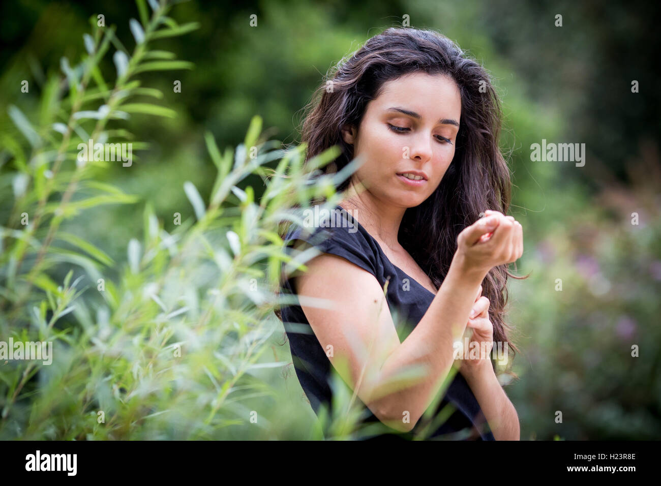Itching animal hi-res stock photography and images - Alamy