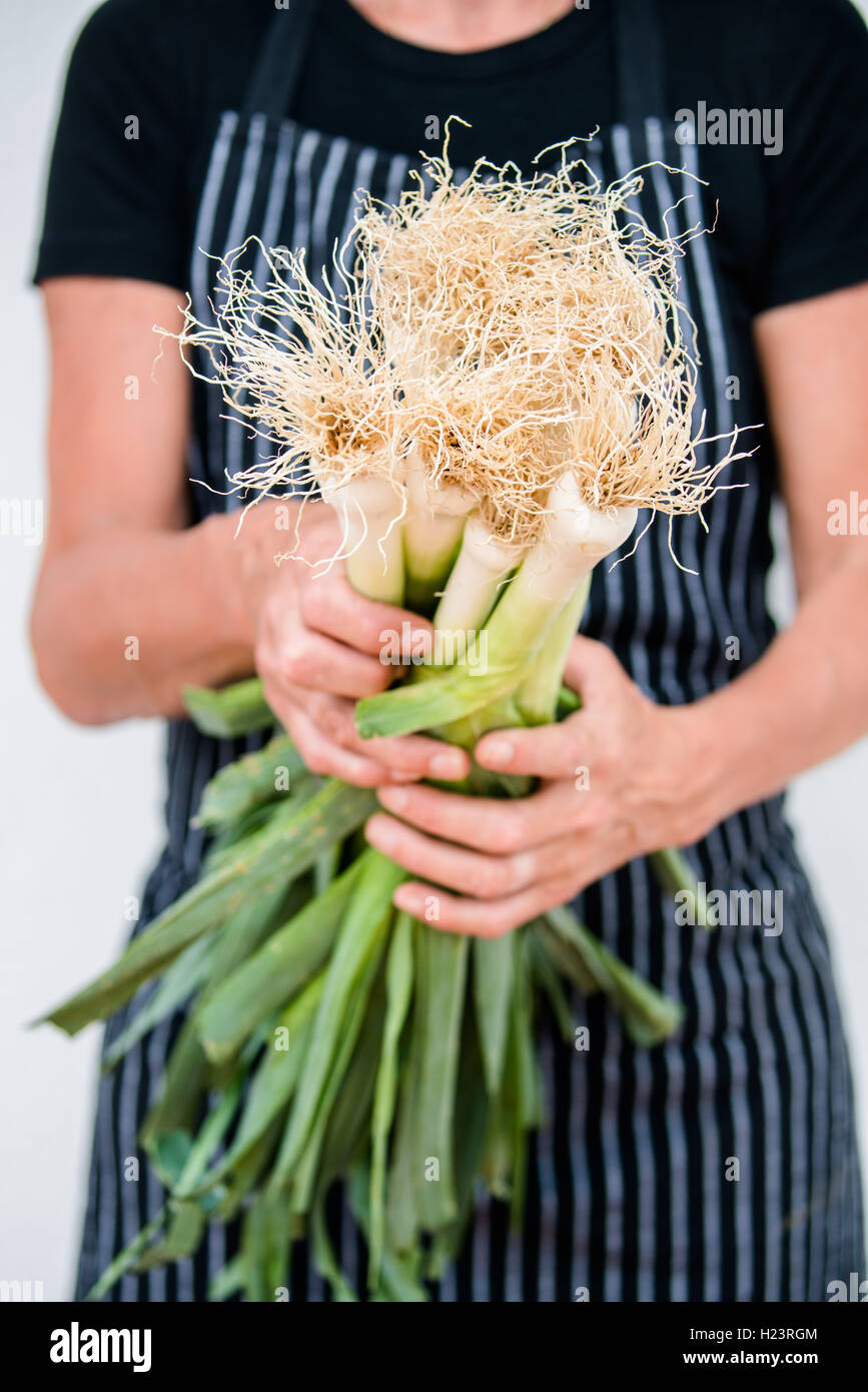 Gardener holding fresh organic leeks in his hand Stock Photo - Alamy