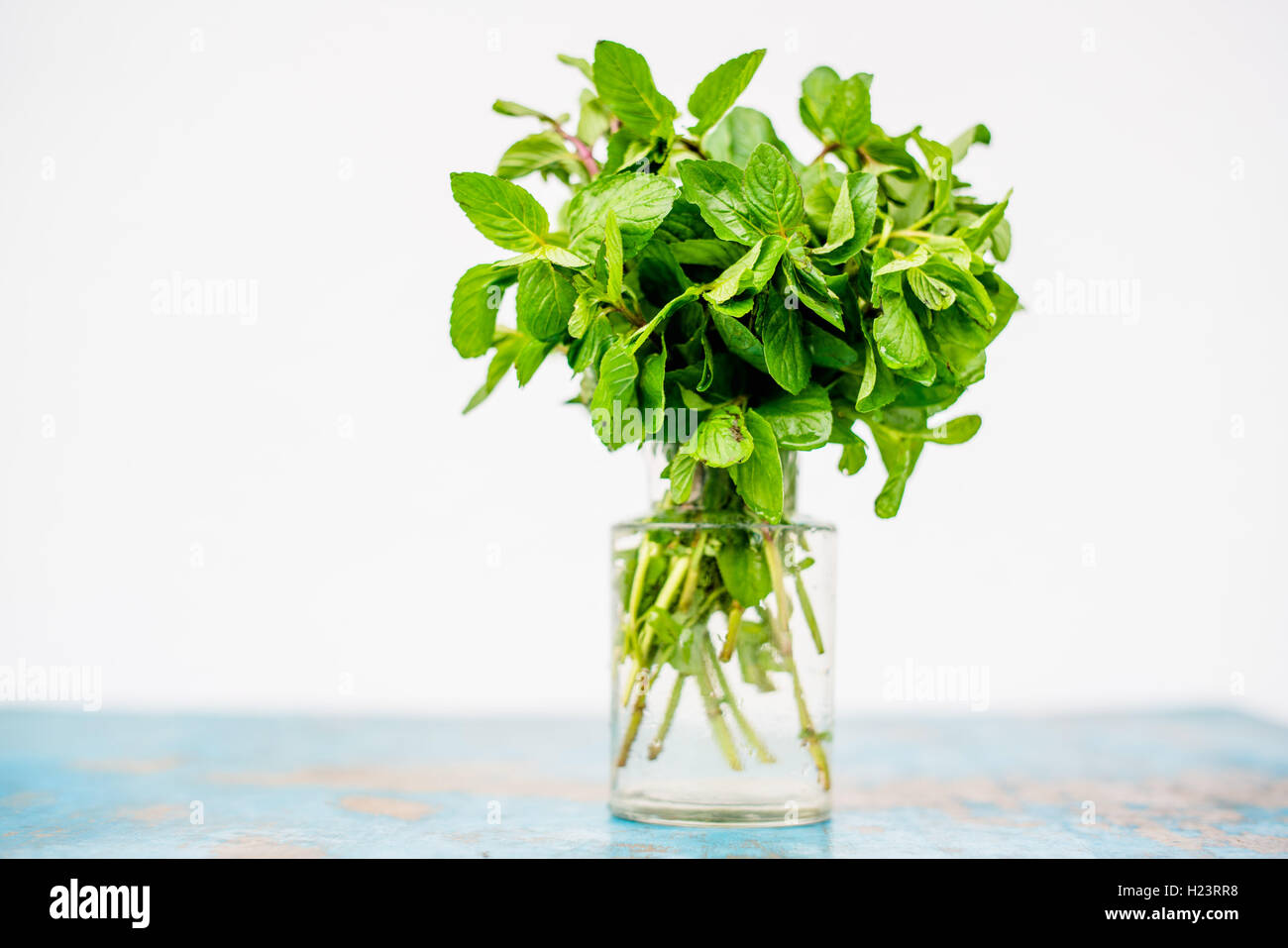 Mint plant leaves hi-res stock photography and images - Alamy