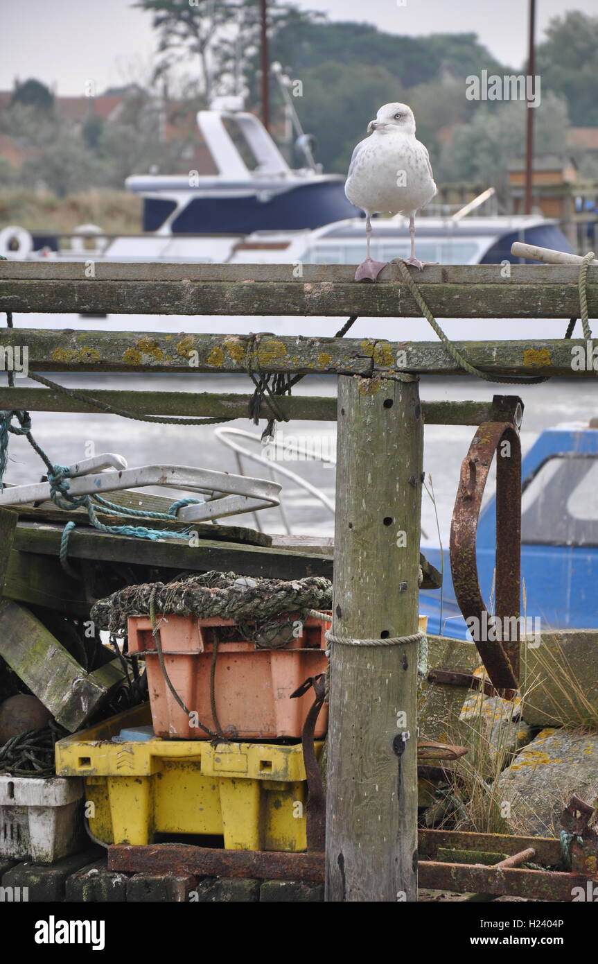 Southwold fishing nets hi-res stock photography and images - Alamy