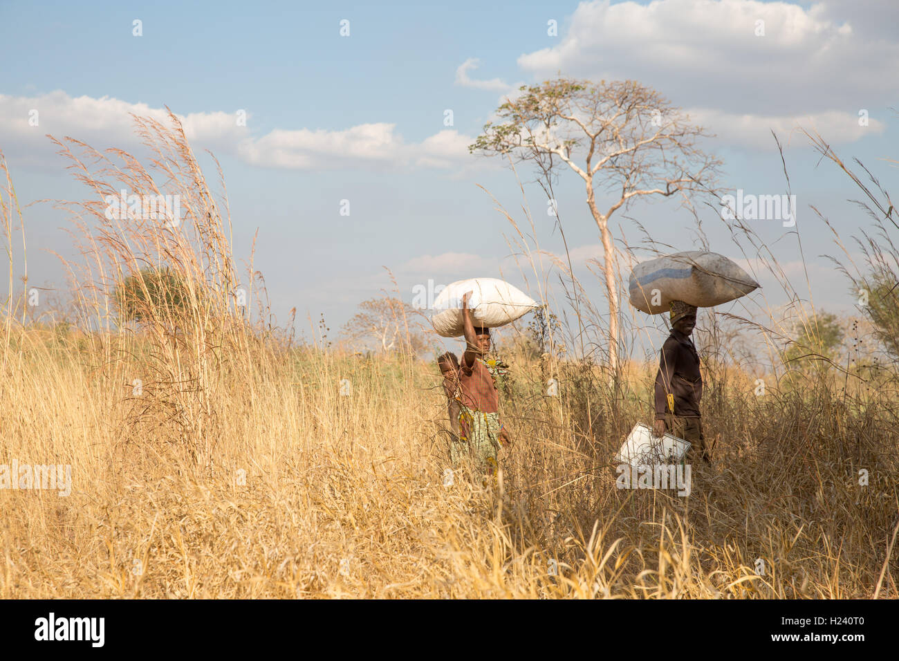 Lalaua district, Nampula Province, Mozambique, August 2015: People ...