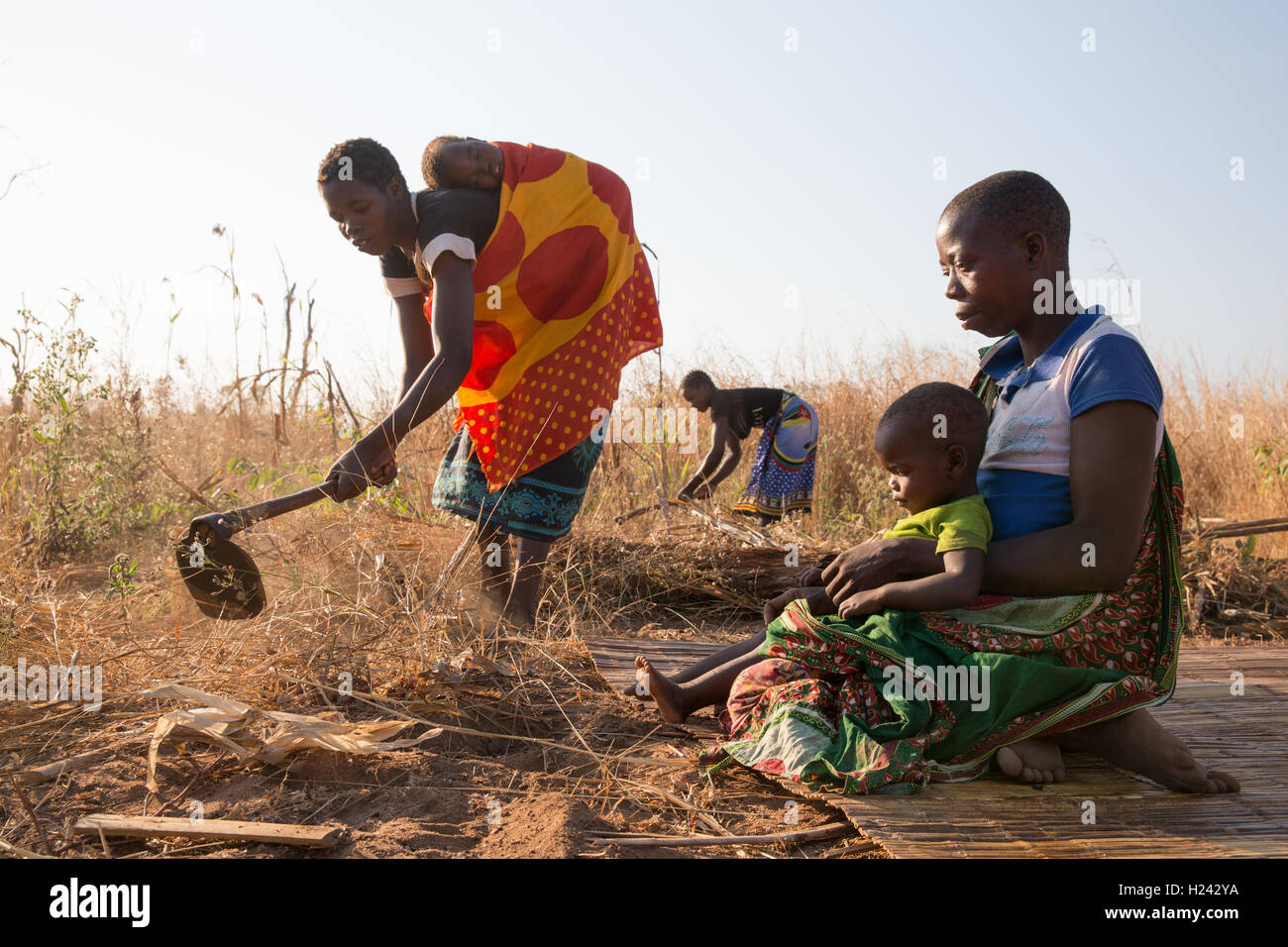 Lalaua District Nampula Province Mozambique High Resolution Stock ...