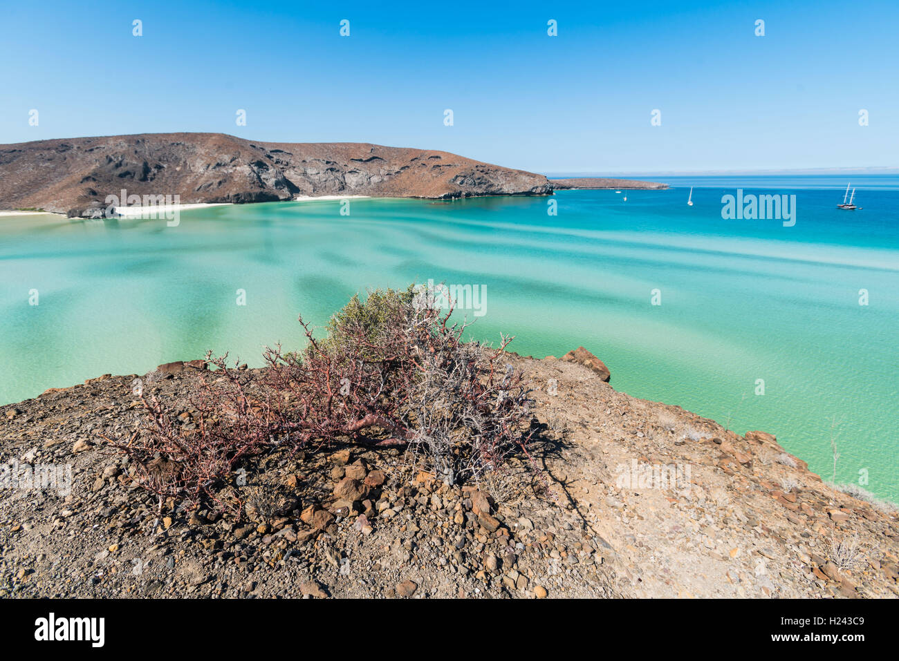 Panoramic vue of Balandra beach ( Bahia Balandra ), Baja California ...