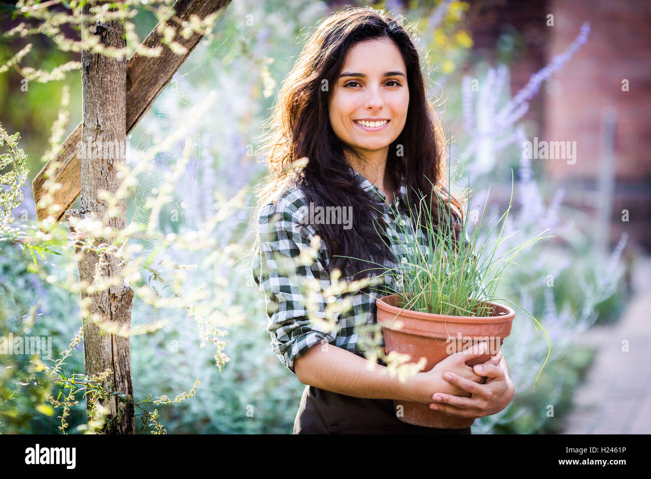 Chive garden woman hi-res stock photography and images - Alamy