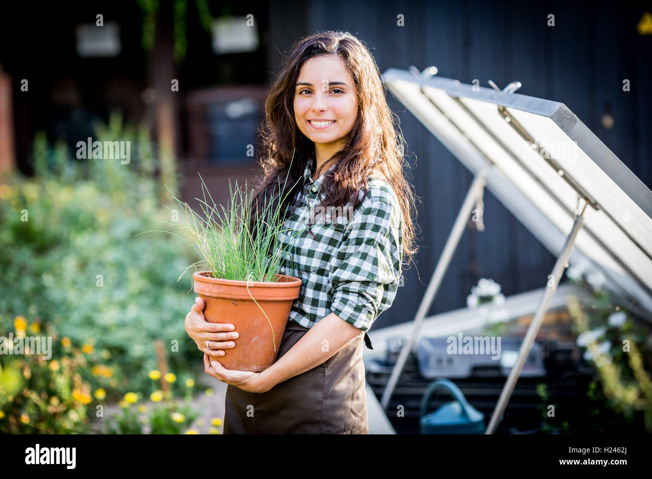 Chive garden woman hi-res stock photography and images - Alamy