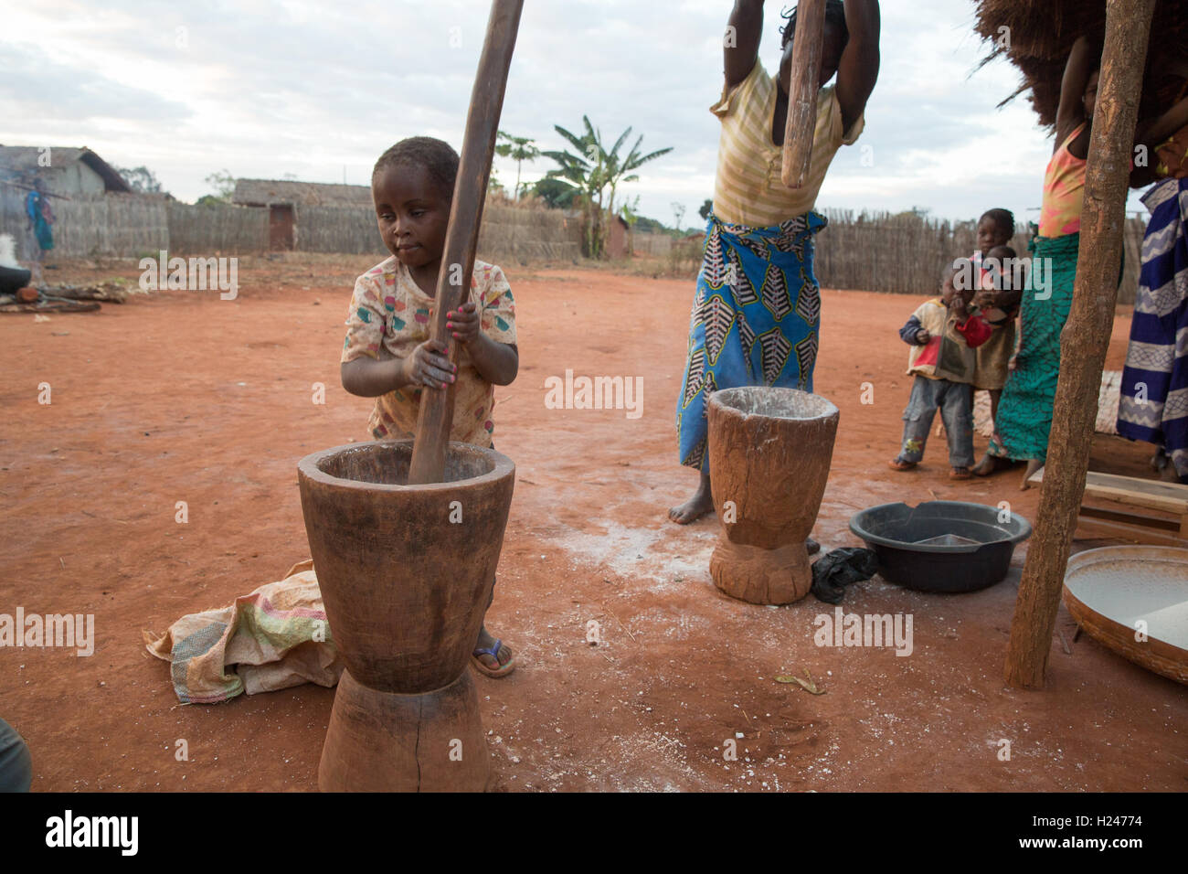 Namina village, Nampula Province, Mozambique, August 2015: Maria Albino ...