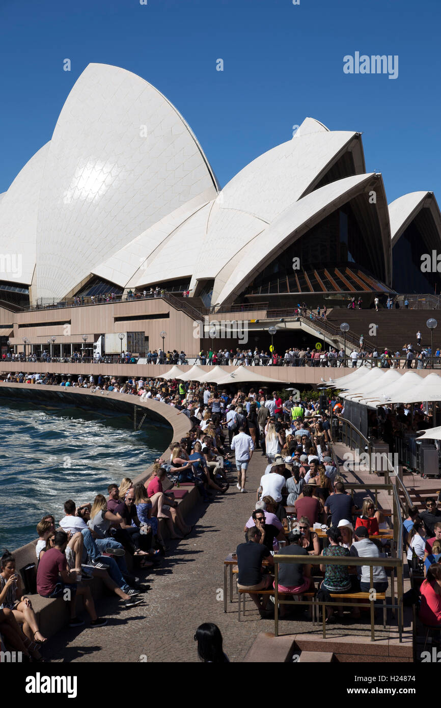 The outdoor bar and bistro at the Sydney Opera House is overflowing on ...