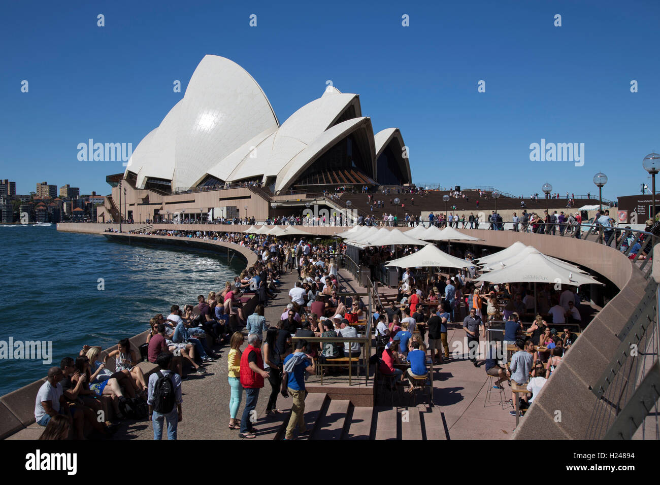 The outdoor bar and bistro at the Sydney Opera House is overflowing on ...