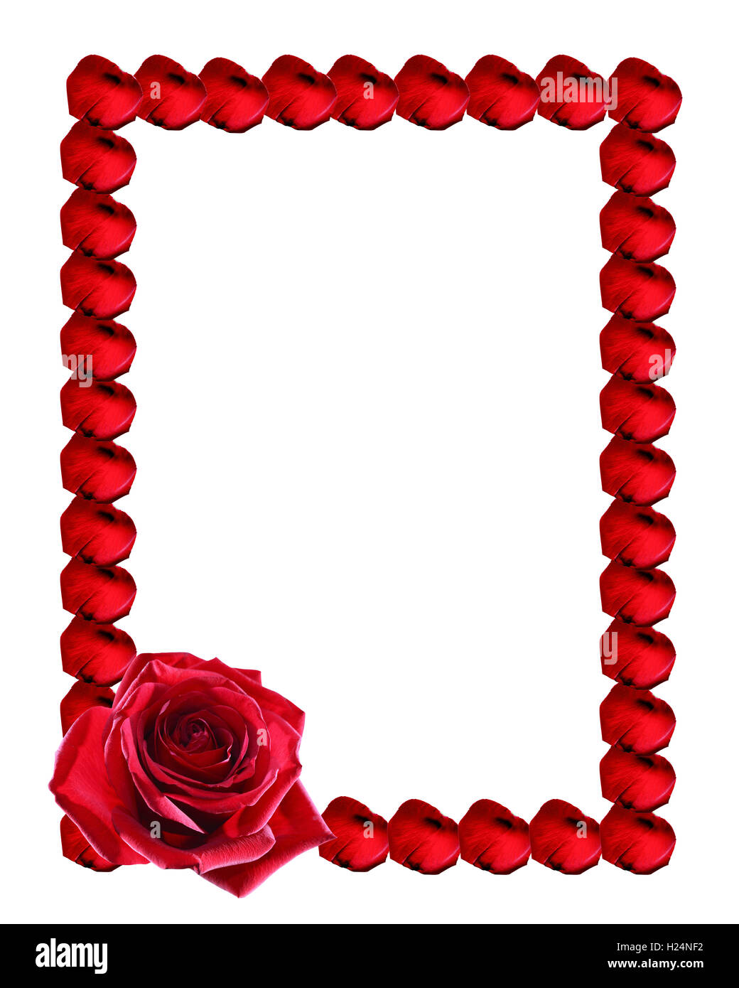 Red rose border frame hi-res stock photography and images - Alamy