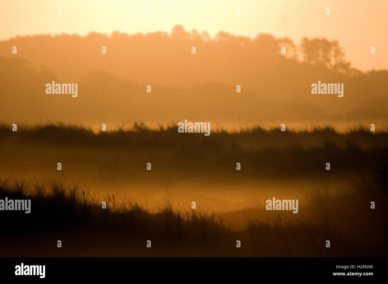 First Light dawn Stock Photo - Alamy