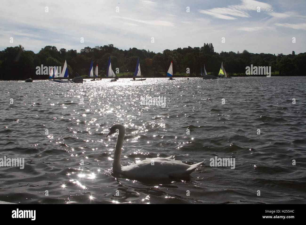 Wimbledon sailing hi-res stock photography and images - Alamy