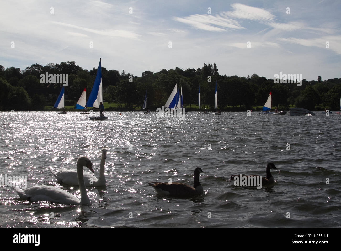 Wimbledon sailing hi-res stock photography and images - Alamy