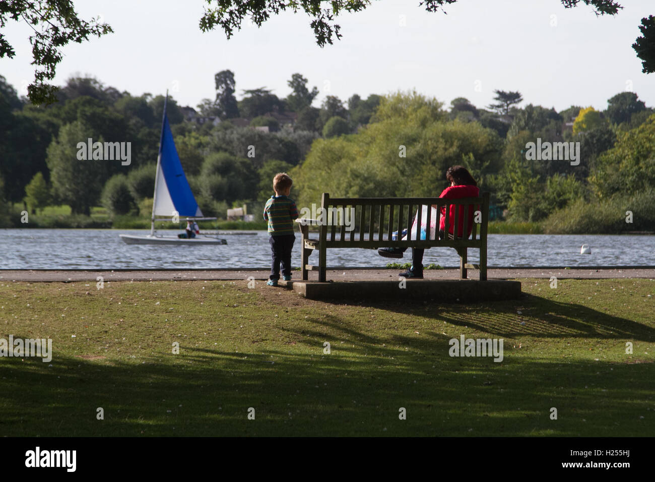 Wimbledon London, UK. 24th Sep, 2016. Sailing dinghies on Wimbledon ...