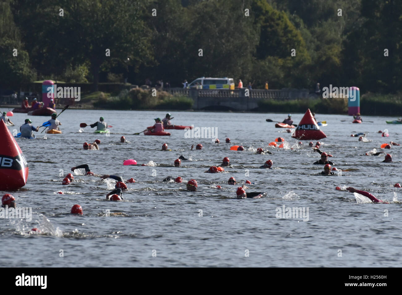 Serpentine, Hyde Park, London, UK. 24th Sep, 2016. Swim Serpentine ...