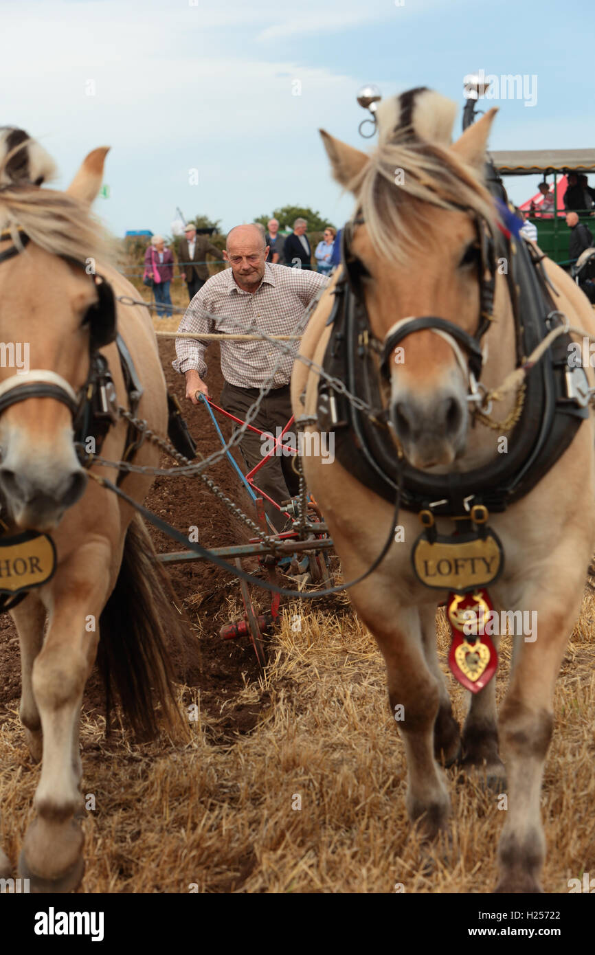 Farming competition uk nottinghamshire plough field harvest hi-res ...