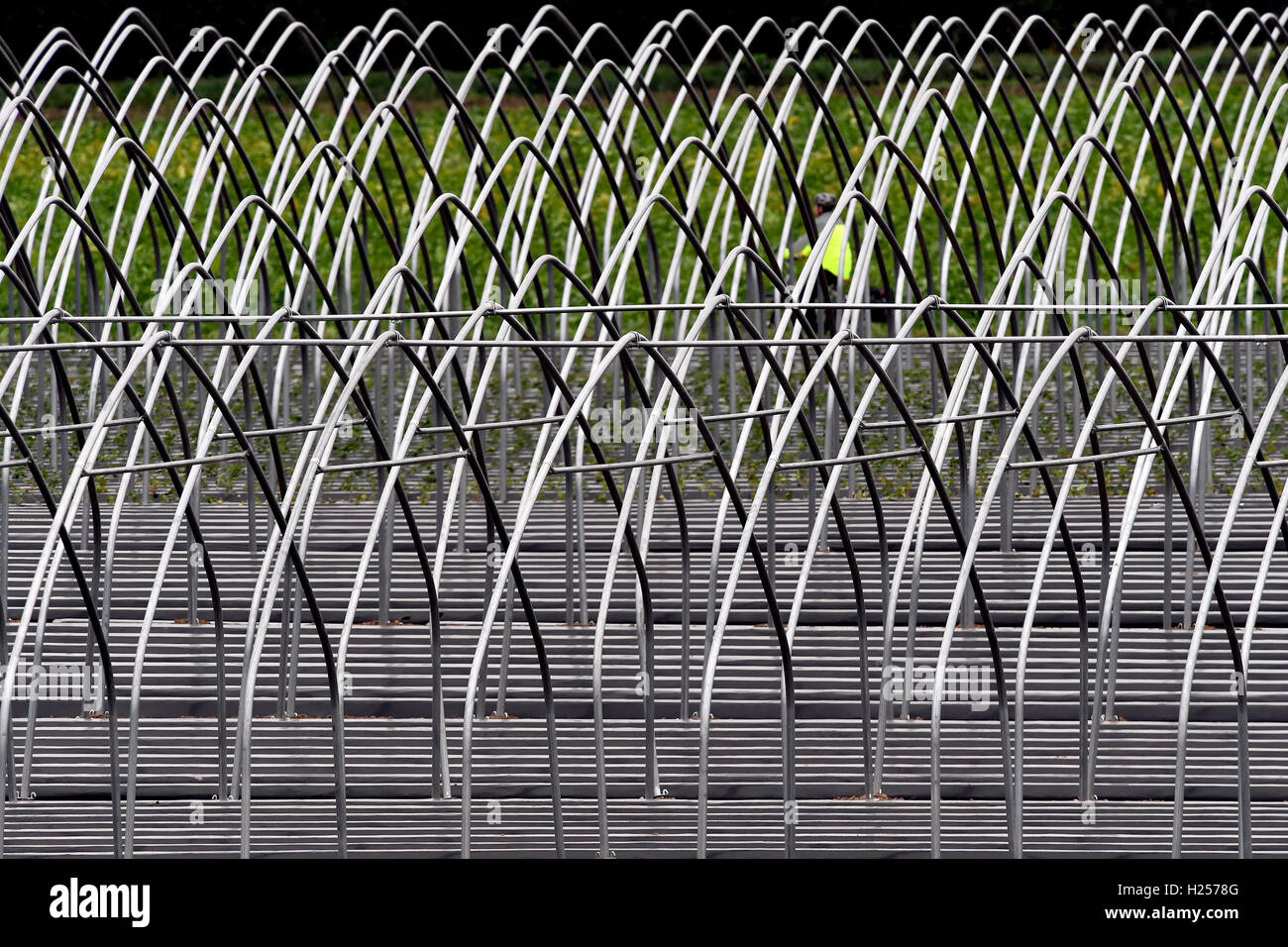 Sturzelberg hi-res stock photography and images - Alamy