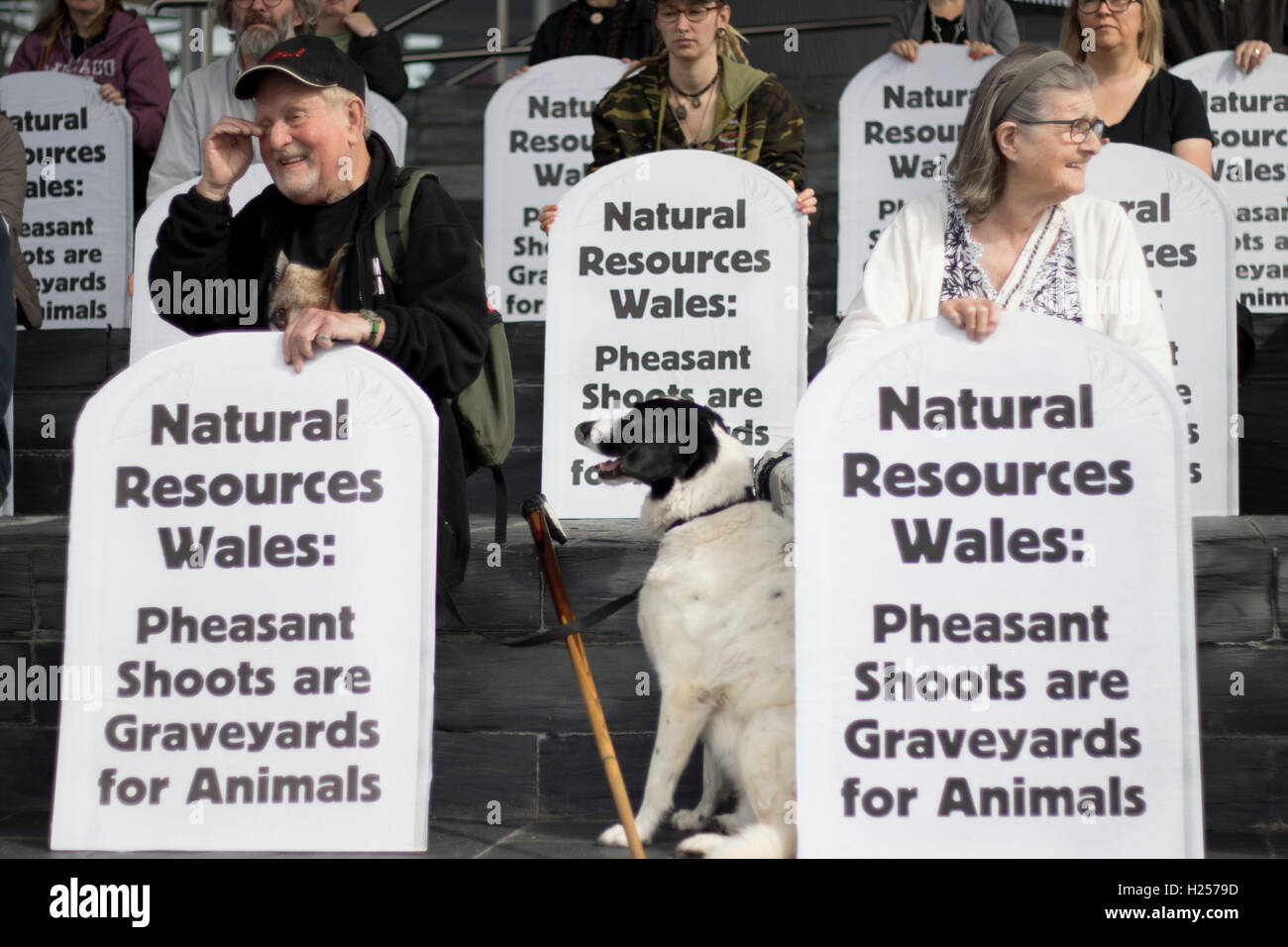 Campaigners from animal rights group Animal Aid hold a protest outside ...