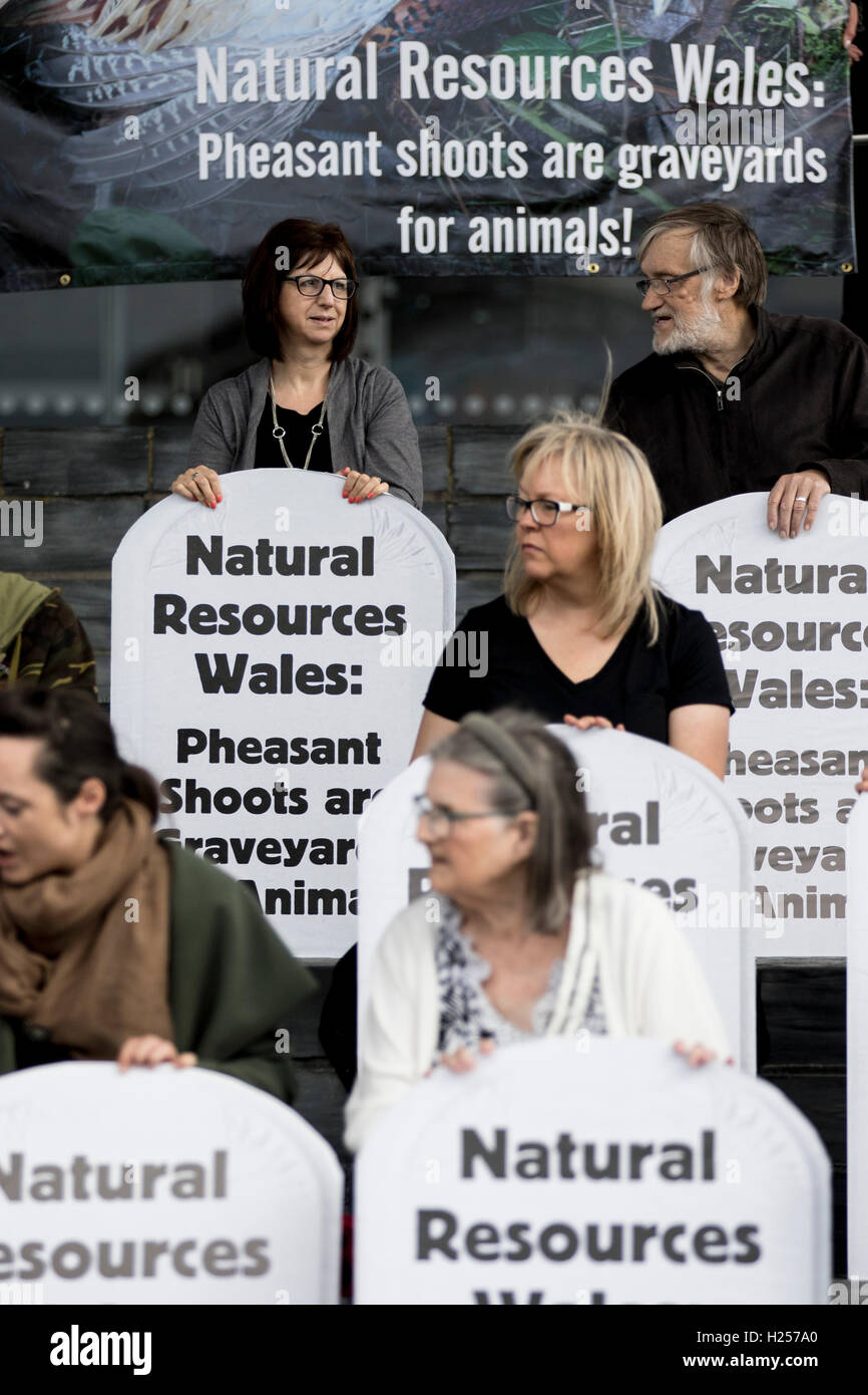 Campaigners from animal rights group Animal Aid hold a protest outside ...