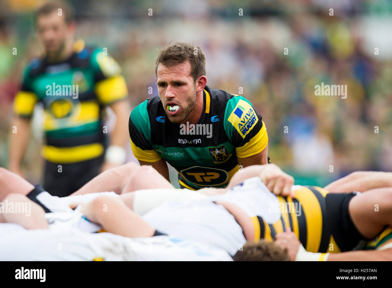 Franklins Gardens, Northampton, UK. 24th Sep, 2016. Aviva Premiership ...