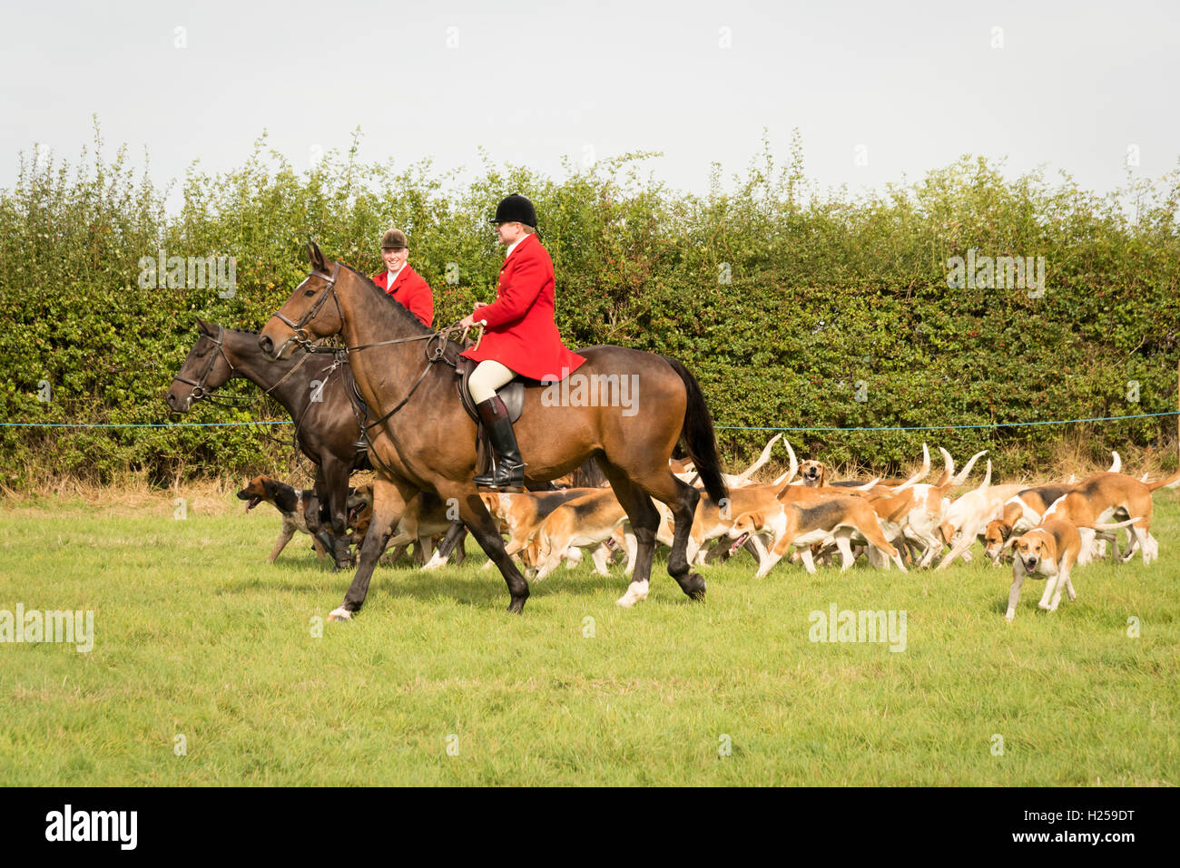 Gransden show hi-res stock photography and images - Alamy
