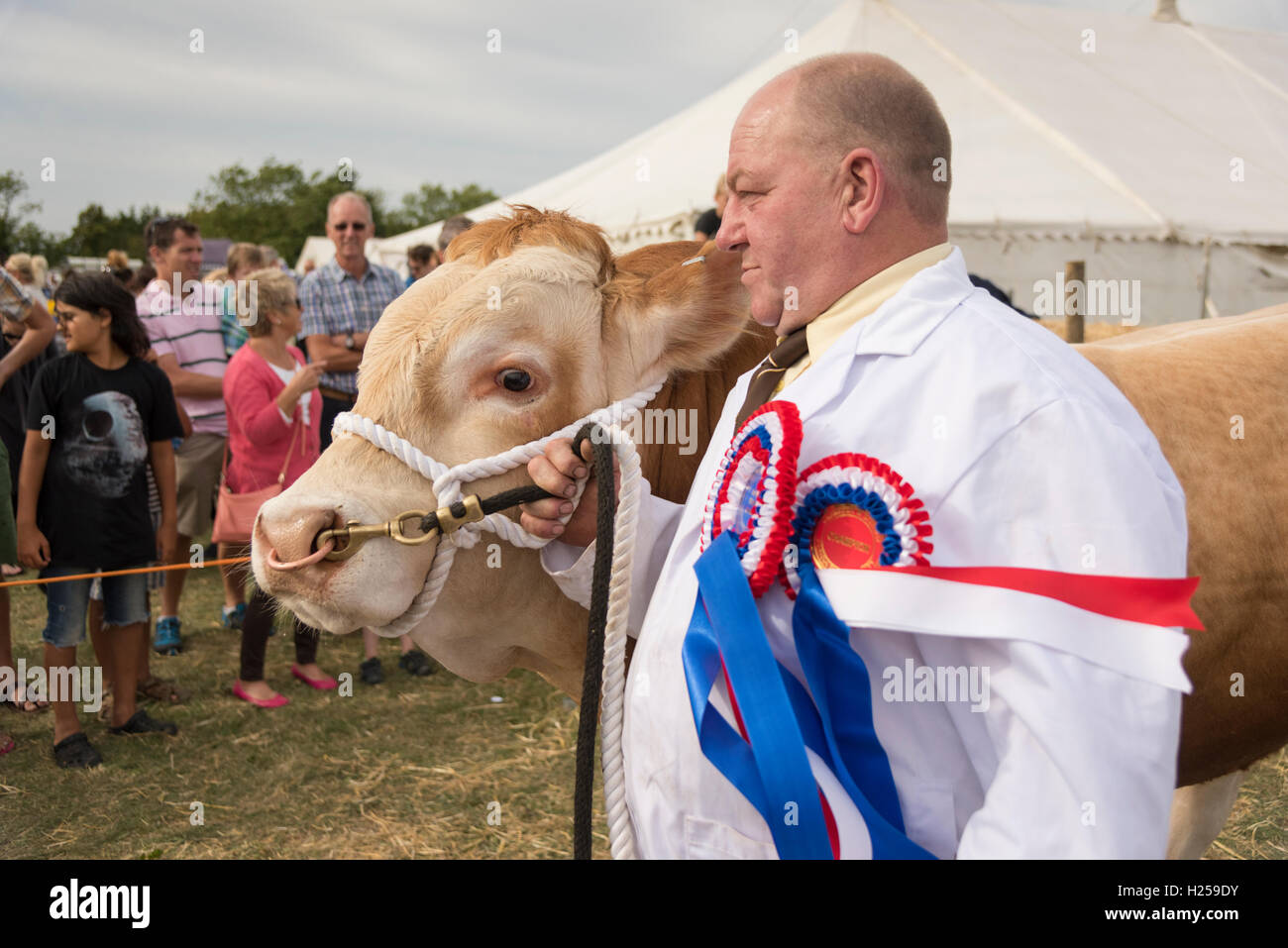 Vintage dog show winner hi-res stock photography and images - Alamy