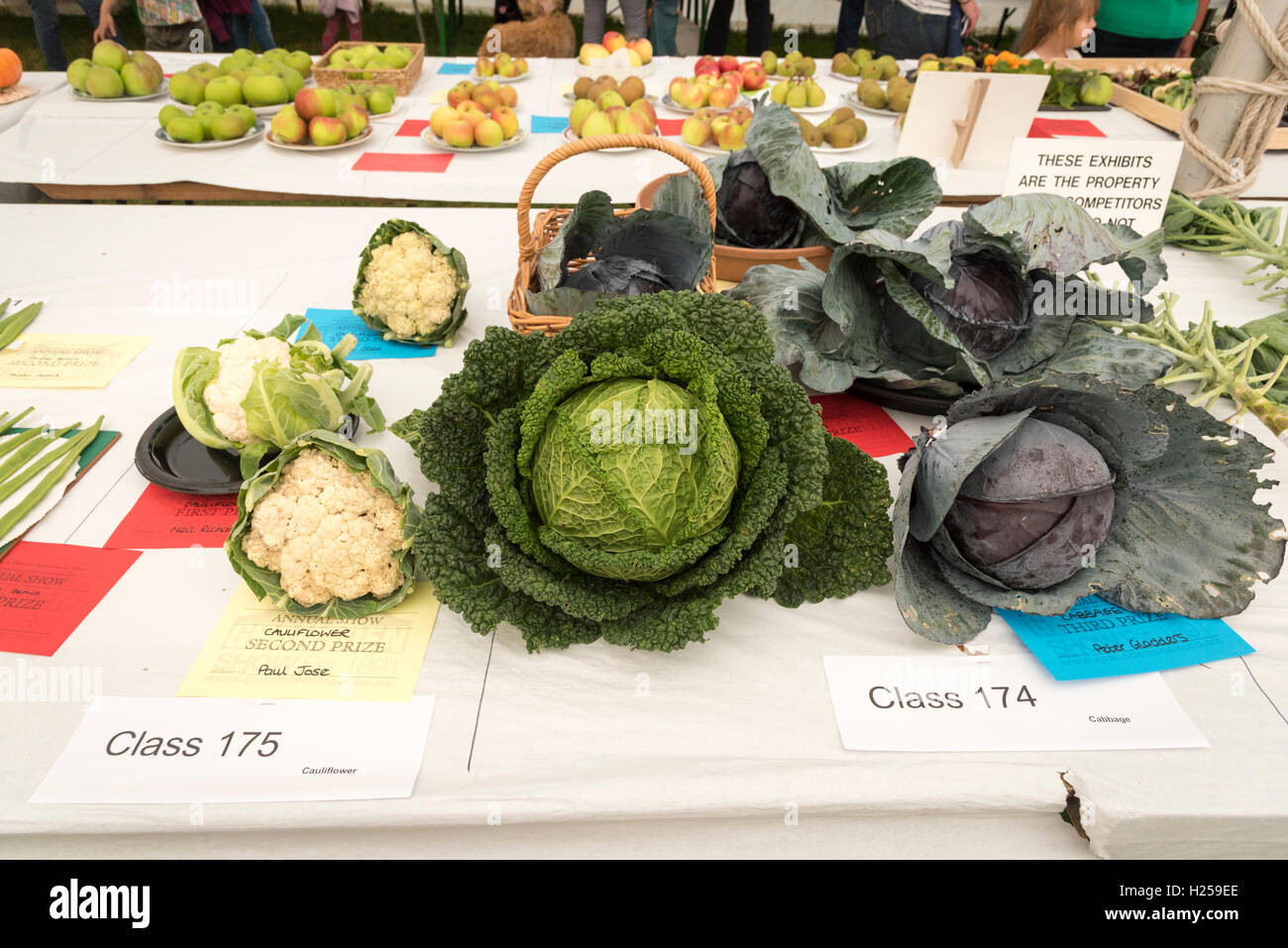Competition vegetables hi-res stock photography and images - Alamy