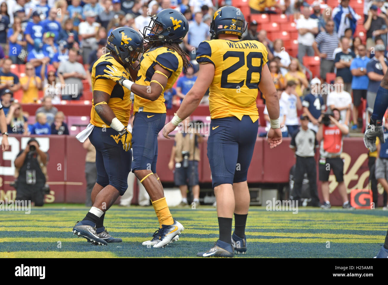 Rushel shell hi-res stock photography and images - Alamy